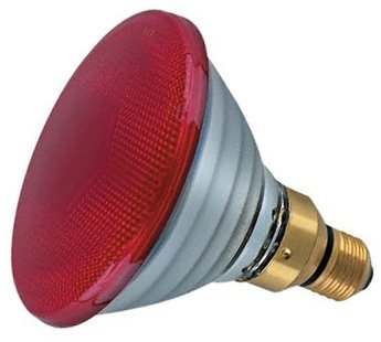 Infra-Red 175 watt Pressed Glass Par 38 Edison Screw Red Glass