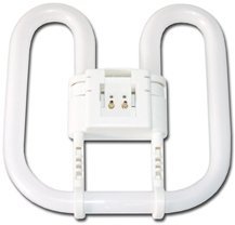 28W Rated 2D Anti Drug Lamp with 2 Pin GR8 Base