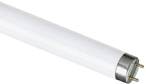 Philips T8 Fluorescent Master TL-D T8 ECO 16W Daylight