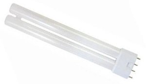 24 Watt PLL Compact Fluorescent Lamp Cool White 840