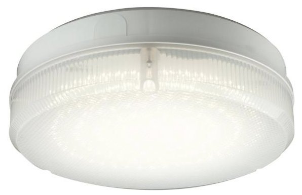 10W Cool White Robus Compact Circular LED Bulkhead