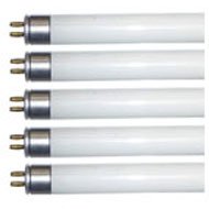 Light Bulbs and Light Fittings From BLT Direct