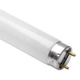 Light Bulbs and Light Fittings From BLT Direct