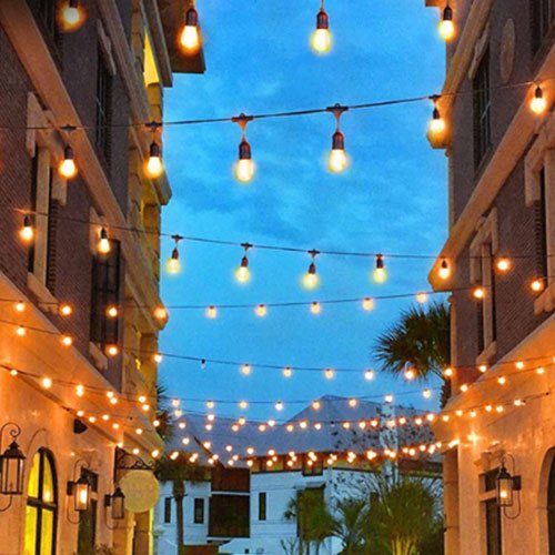 Light Bulbs and Light Fittings From BLT Direct